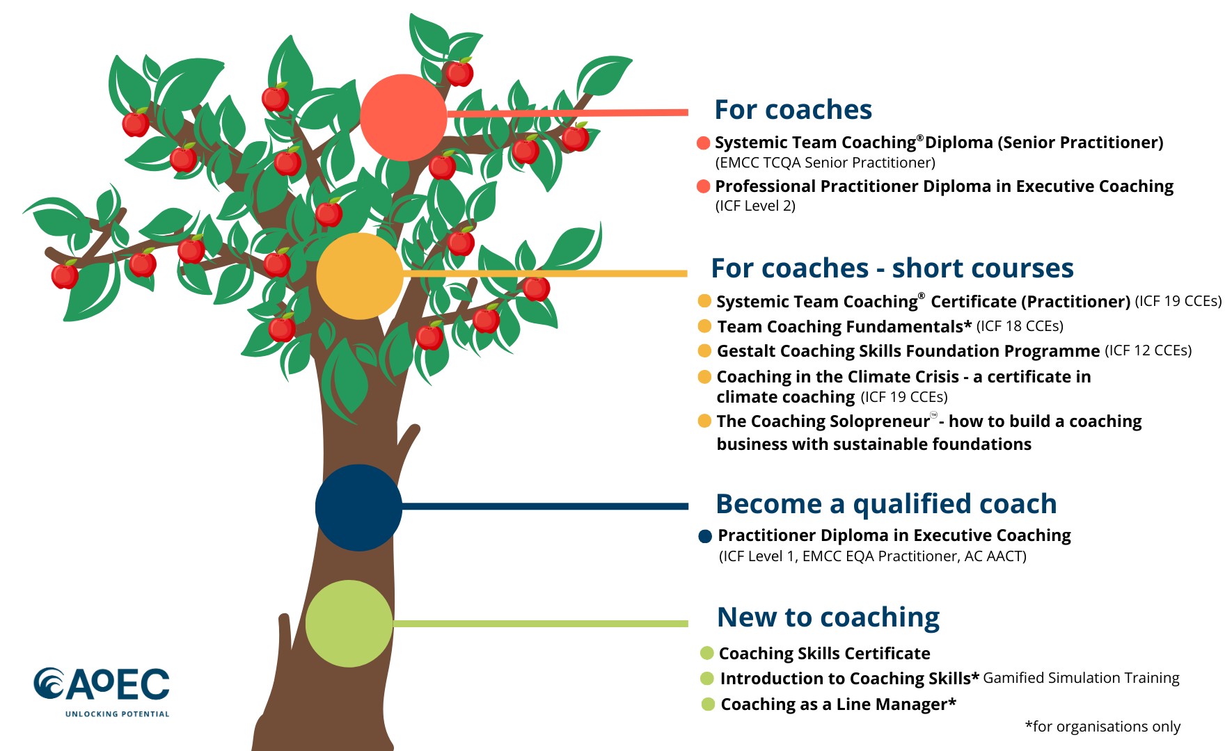 Executive Coaching Qualifications | Academy of Executive Coaching - AoEC