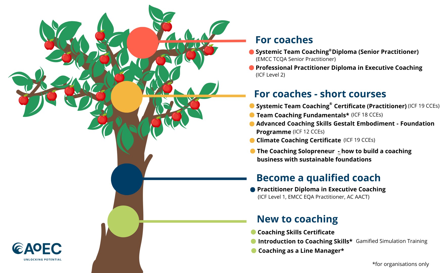 Executive Coaching Qualifications | Academy of Executive Coaching - AoEC